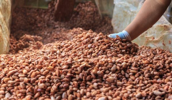 What Is Bean To Bar Chocolate?