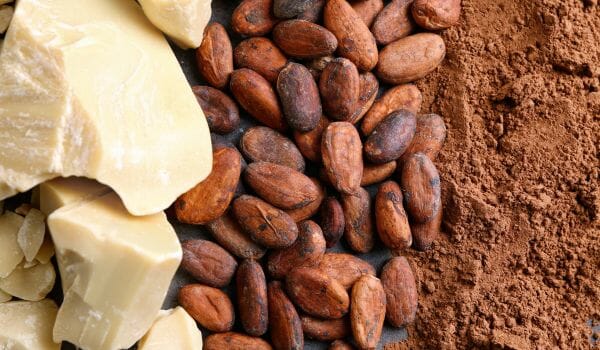 Important Cacao Butter Benefits: Why You Should Add It To Your Diet